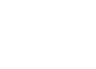 Donde Comprar - Wendlandt Cerveceria